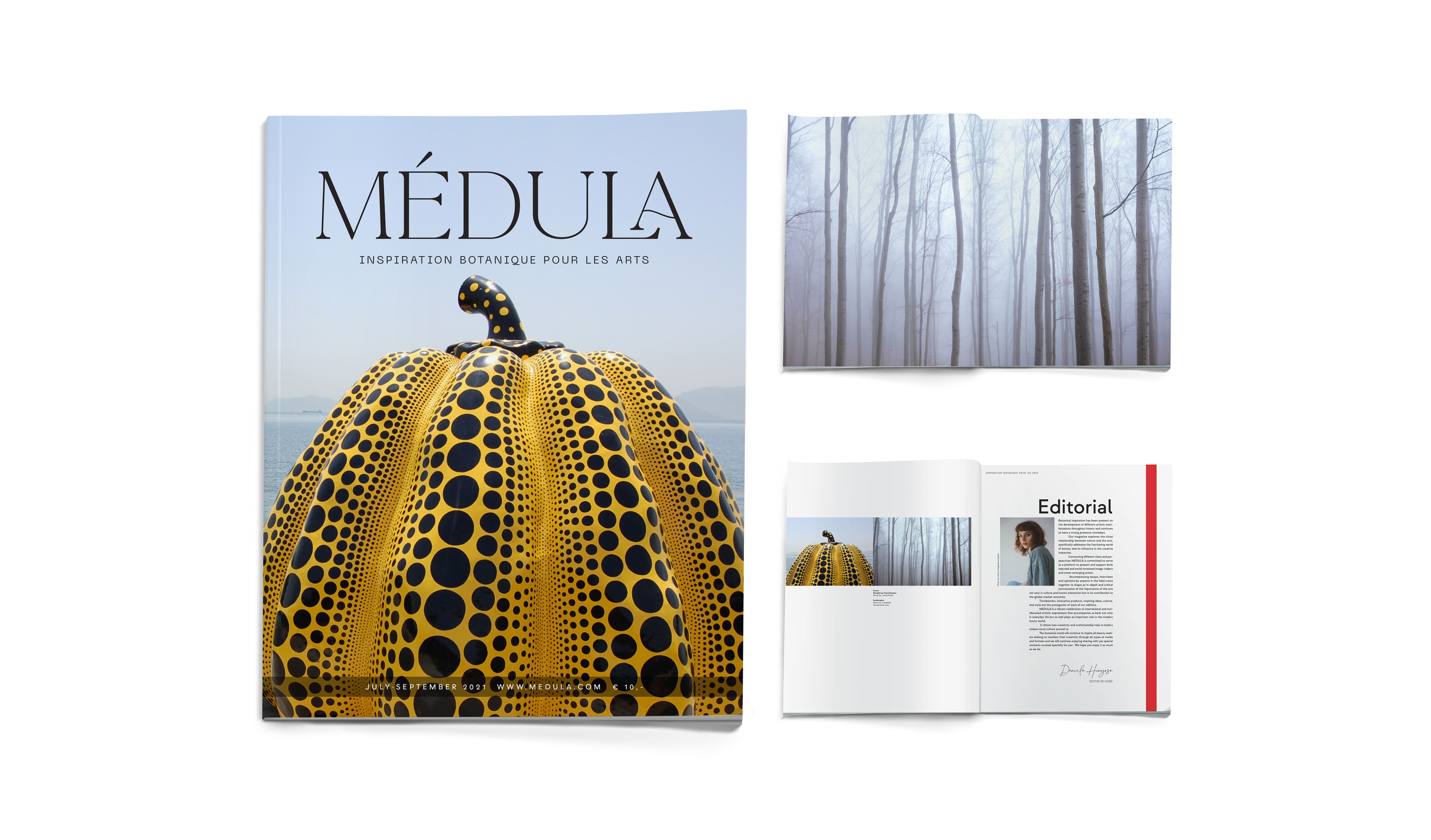 Portfolio: MÉDULA | ESDESIGN